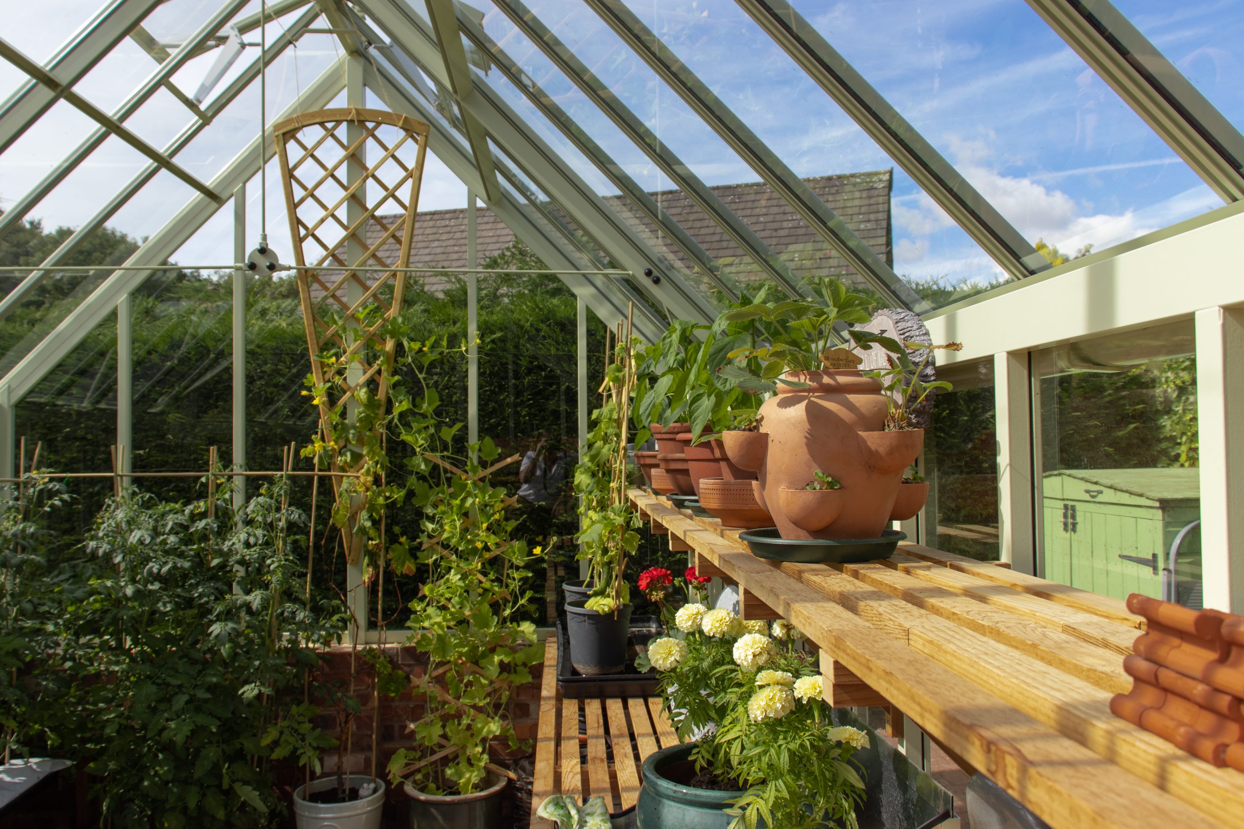 The Greenhouse as a safe space to grow Case Study