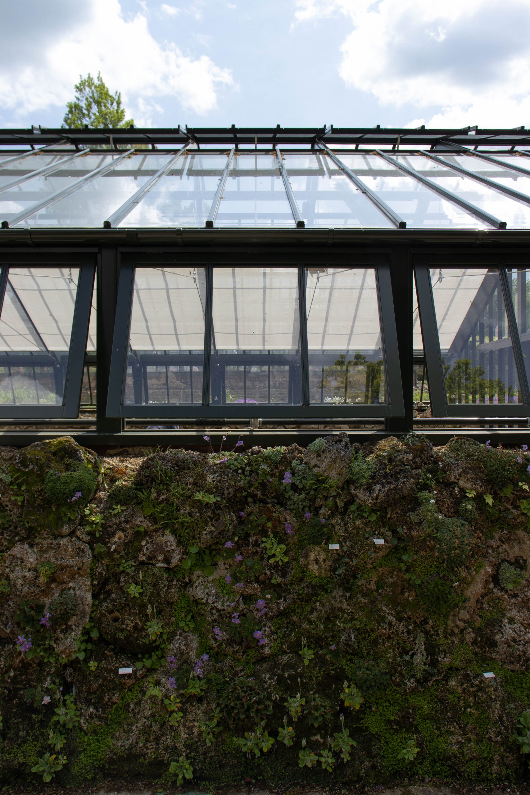 Rebuilding the Alpine Cushion House, RHS Wisley