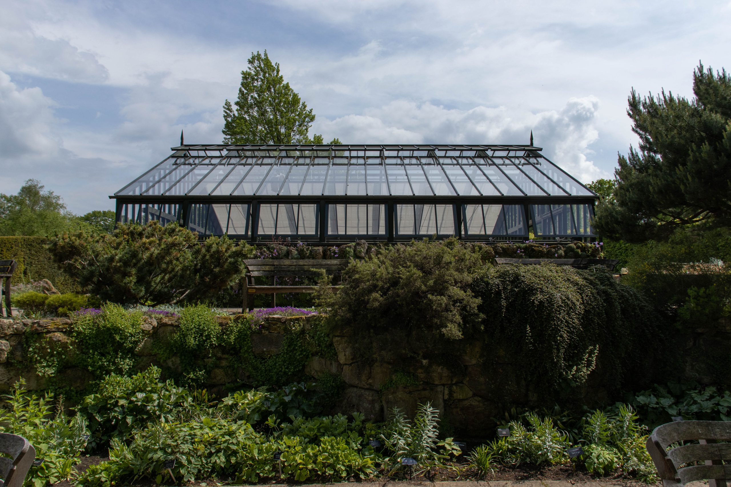Rebuilding the Alpine Cushion House, RHS Wisley